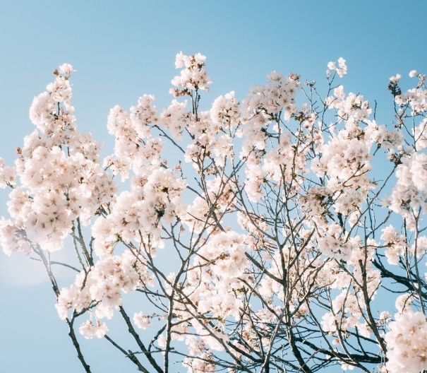 Mon engagement - Laetitia Guilbert Psychologue